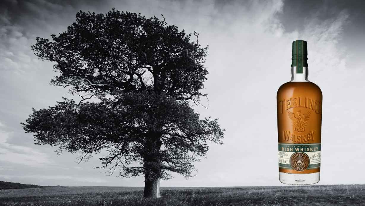 Teeling – Wonders of Wood #2 - Dram1